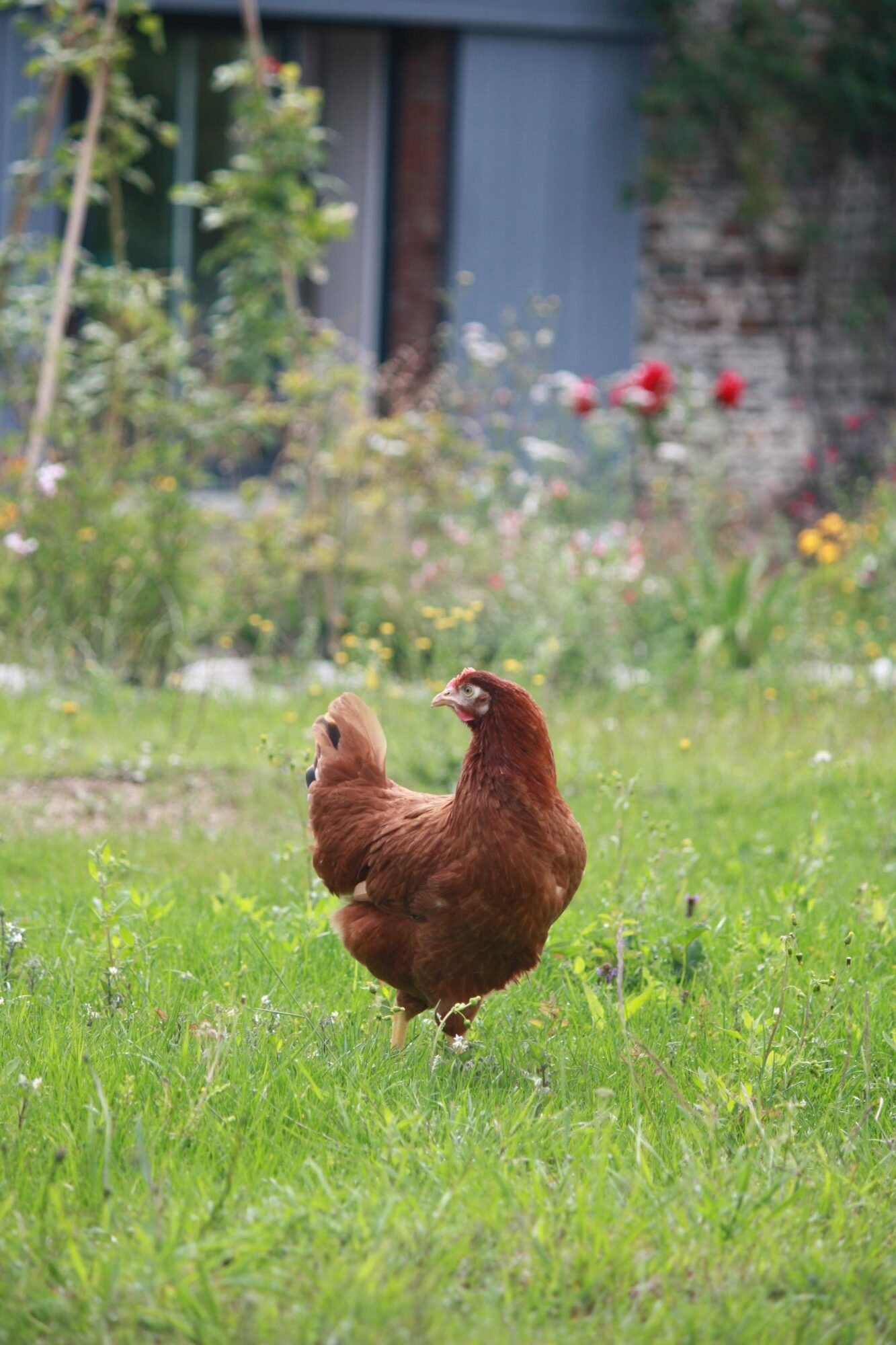 Partir en week-end l’esprit tranquille - Magalli