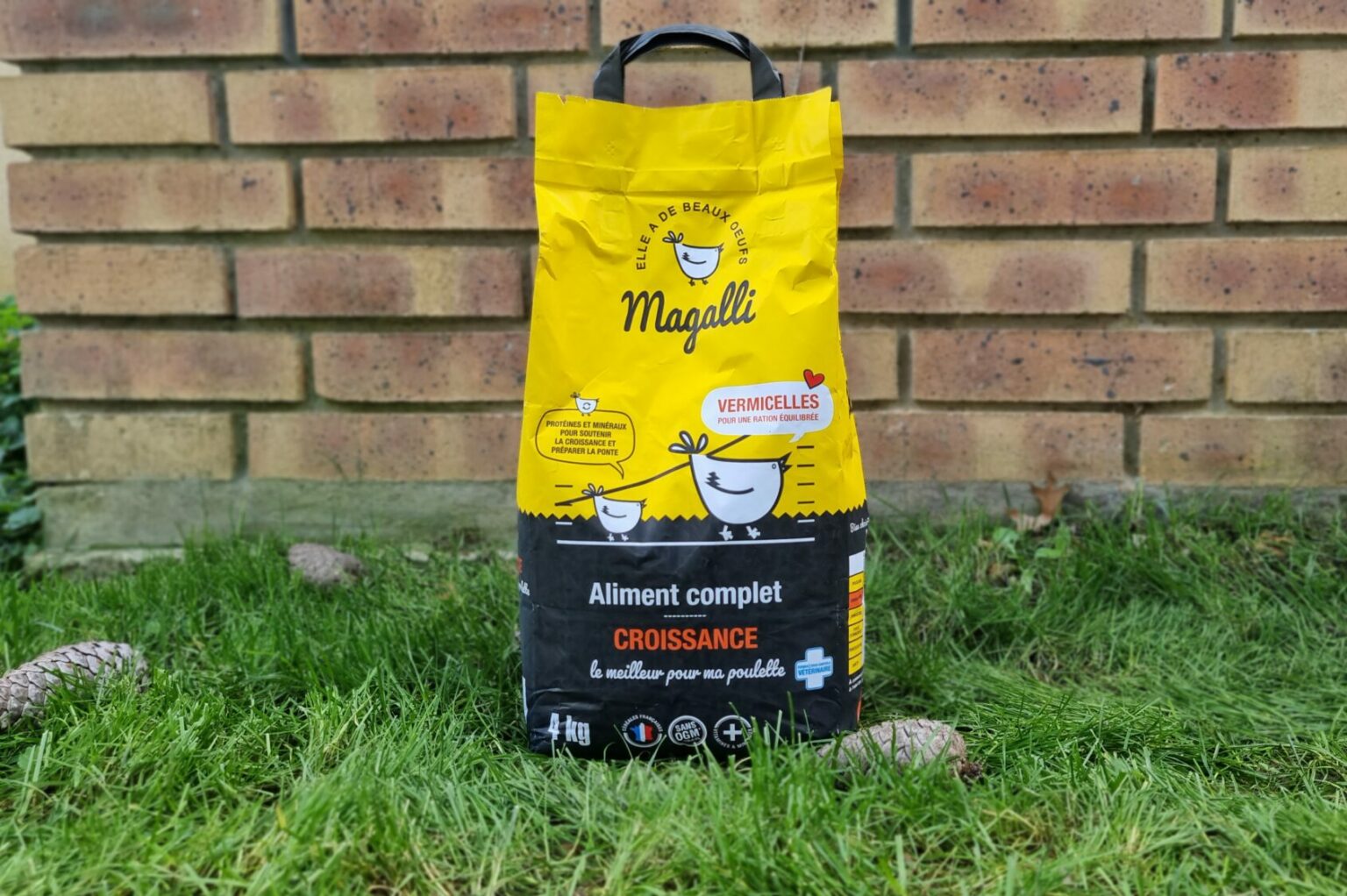 Nos aliments pour poule| Magalli